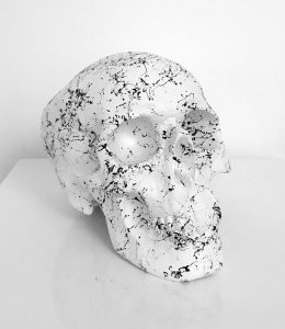 Marble Effect Skull - Haus of Skulls